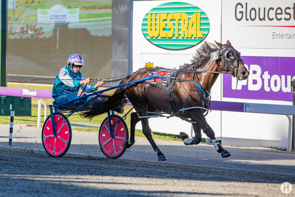 Street Hawk To Seize Opportunity