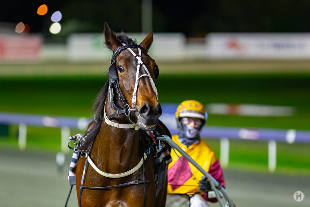 Gem Draw Important For Jen In Diamond