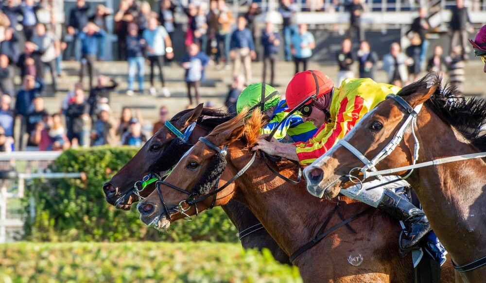 Parnham Looking Forward To Bustler Rematch