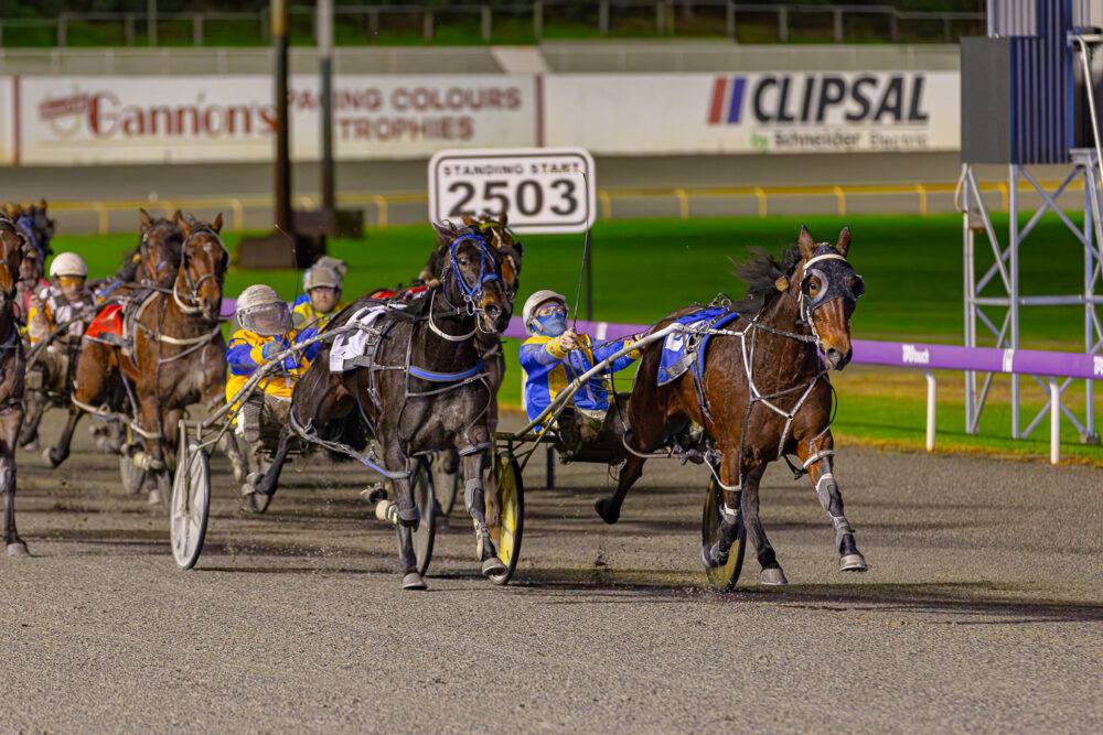 Features Aplenty On Bumper Card