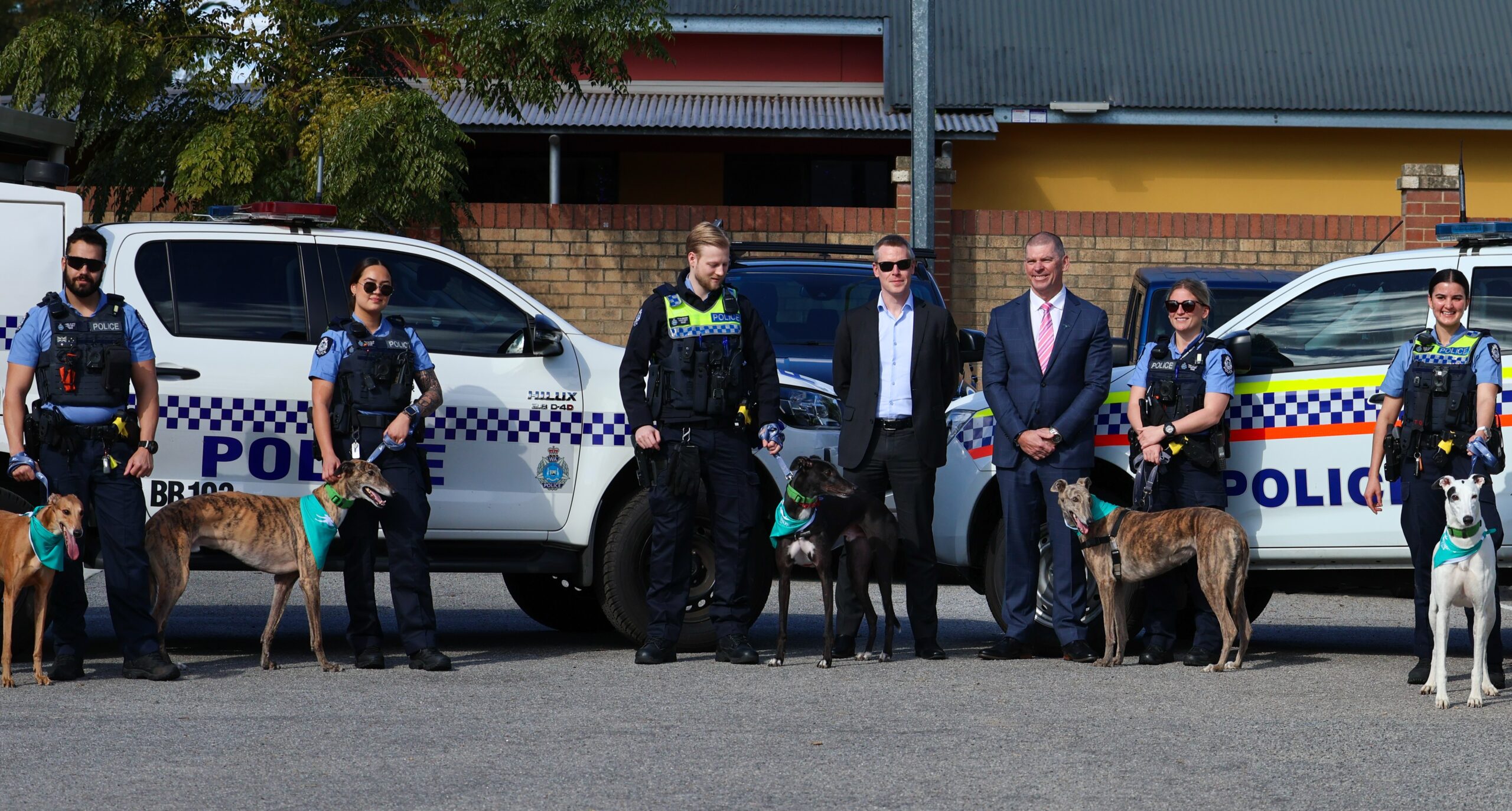Greyhounds give WA police officers paws to rest and recharge