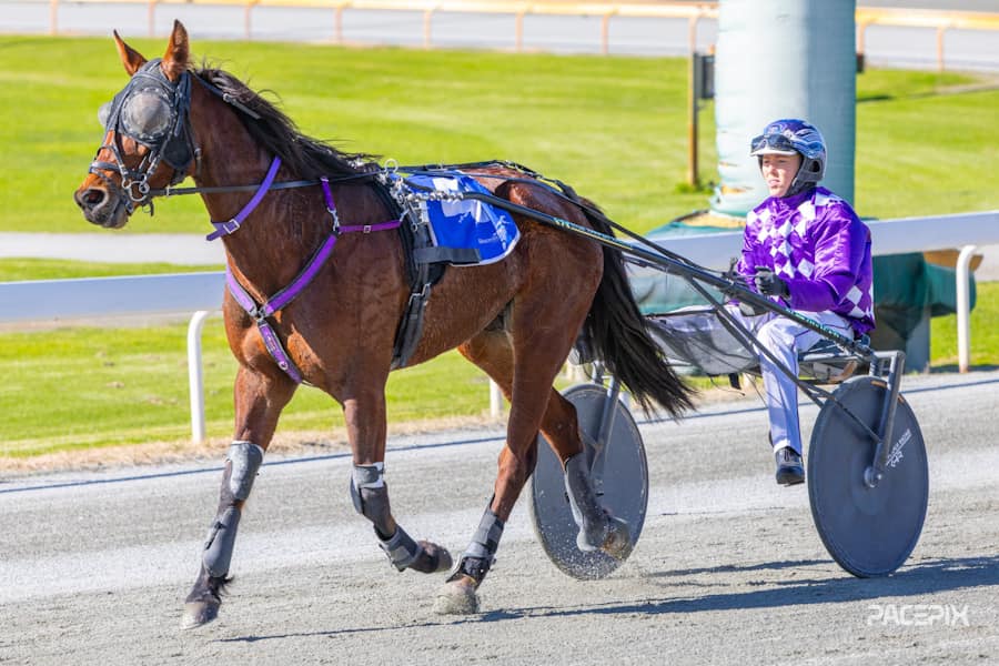 Bonnie Rae Proves Quite the Buy for Bennett