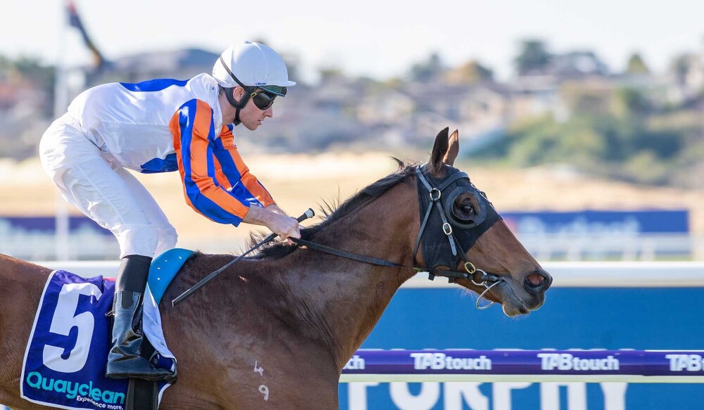 Aztec Ruler To Bypass Ascot Carnival.