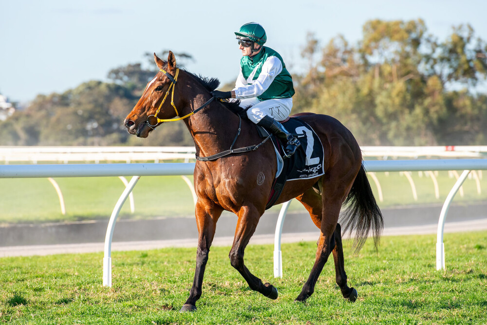 Flash Max Retains Unbeaten Status