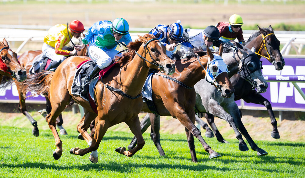 Williams Team Gathering Momentum For Autumn Features