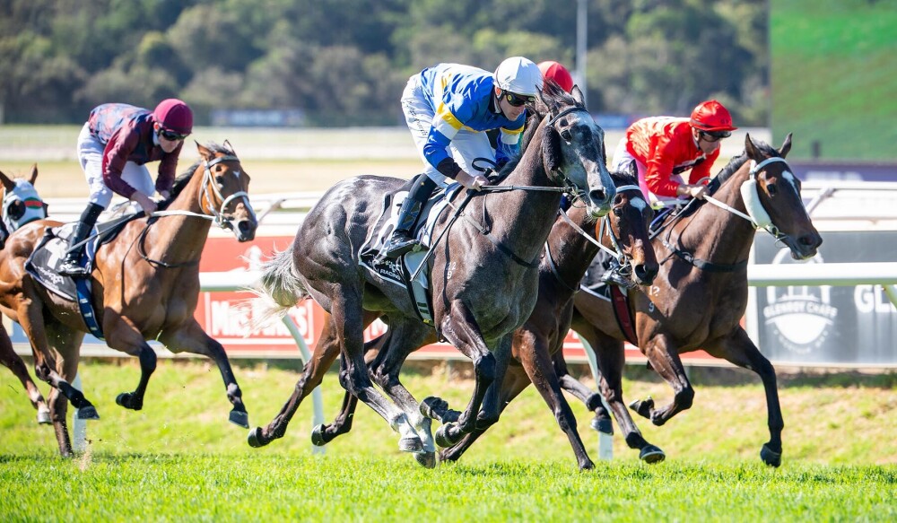 Perth tipsters shine in competition opener