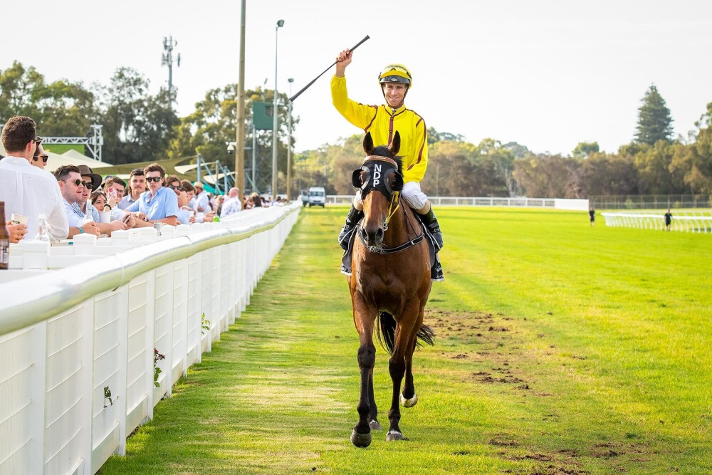 Steven Parnham Sticks To Proven Formula In Northerly Stakes