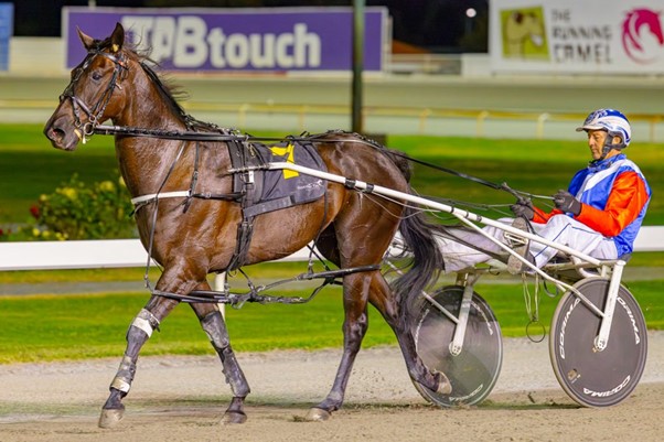 Holy Hecka Makes A Super Impression