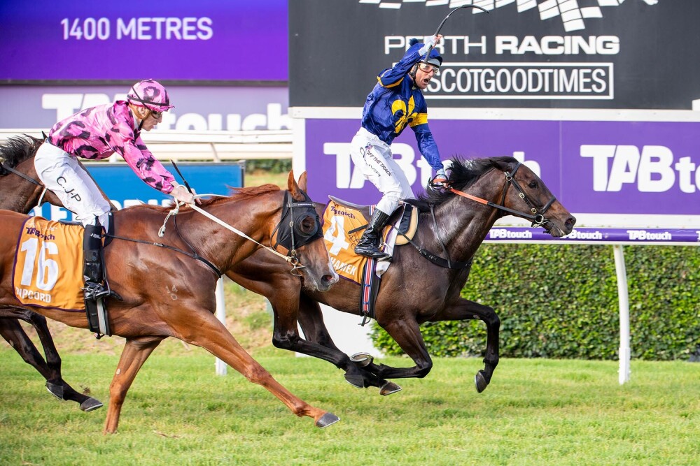 Week 5: The Races WA Podcast Tipping Competition Update