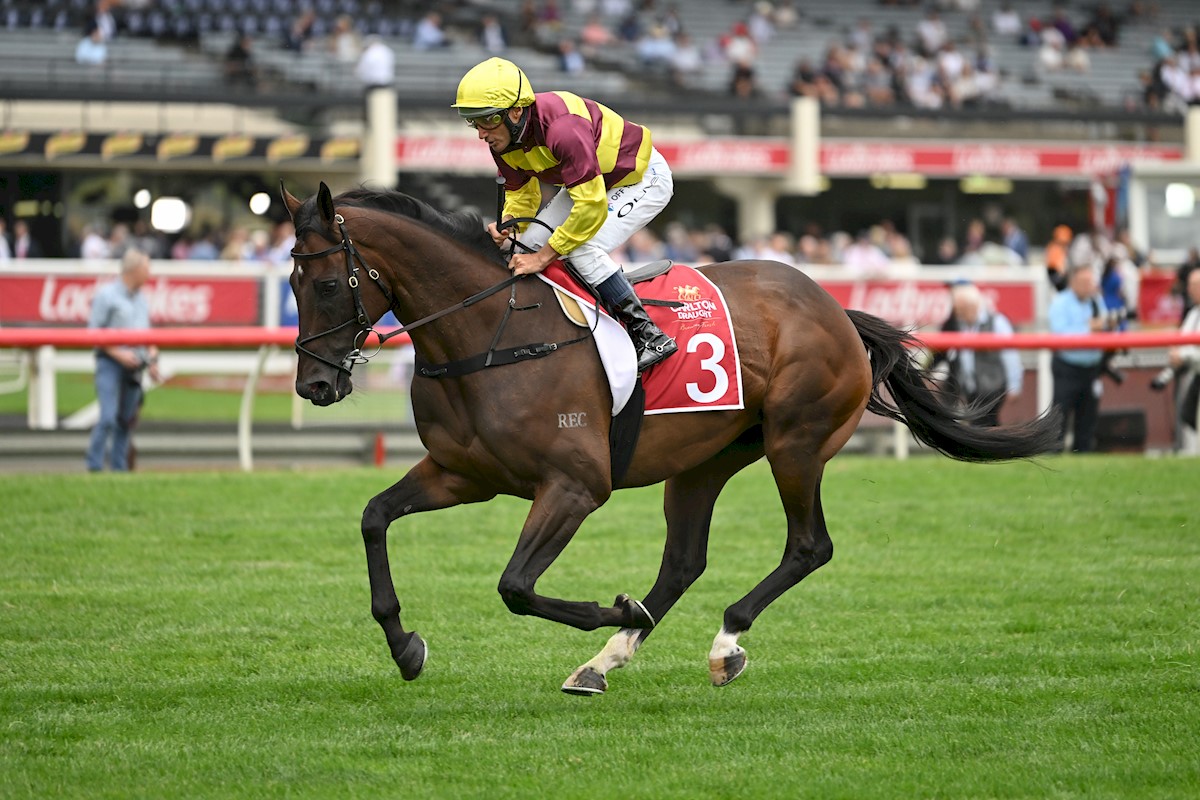 Neasham Camp Cautious On Numerian In Ted Van Heemst