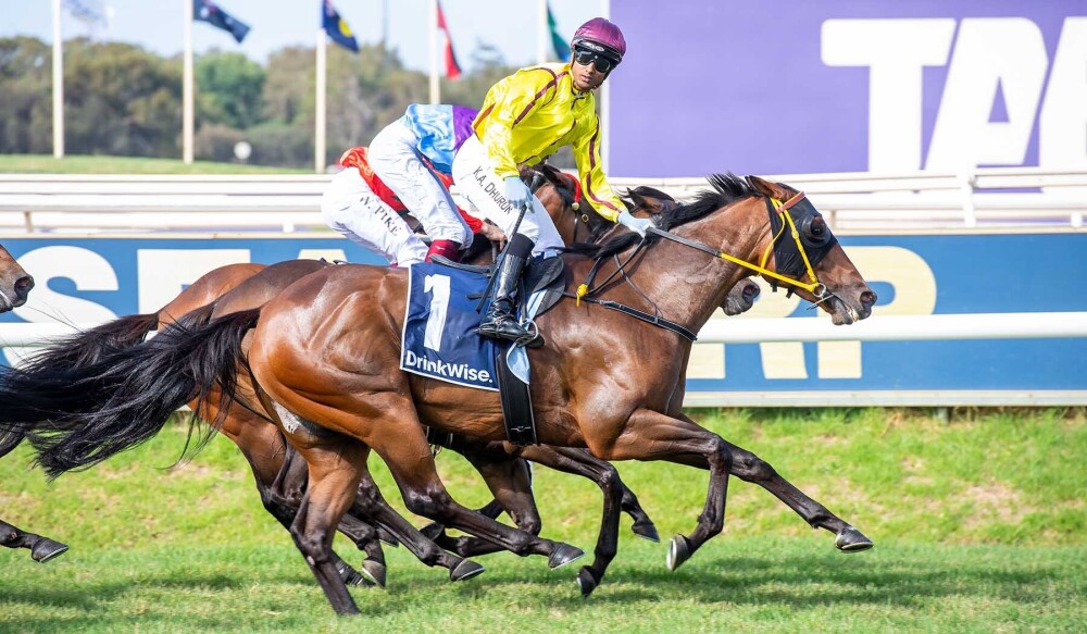 Parnham Thinking 12 Months Ahead With Demolish