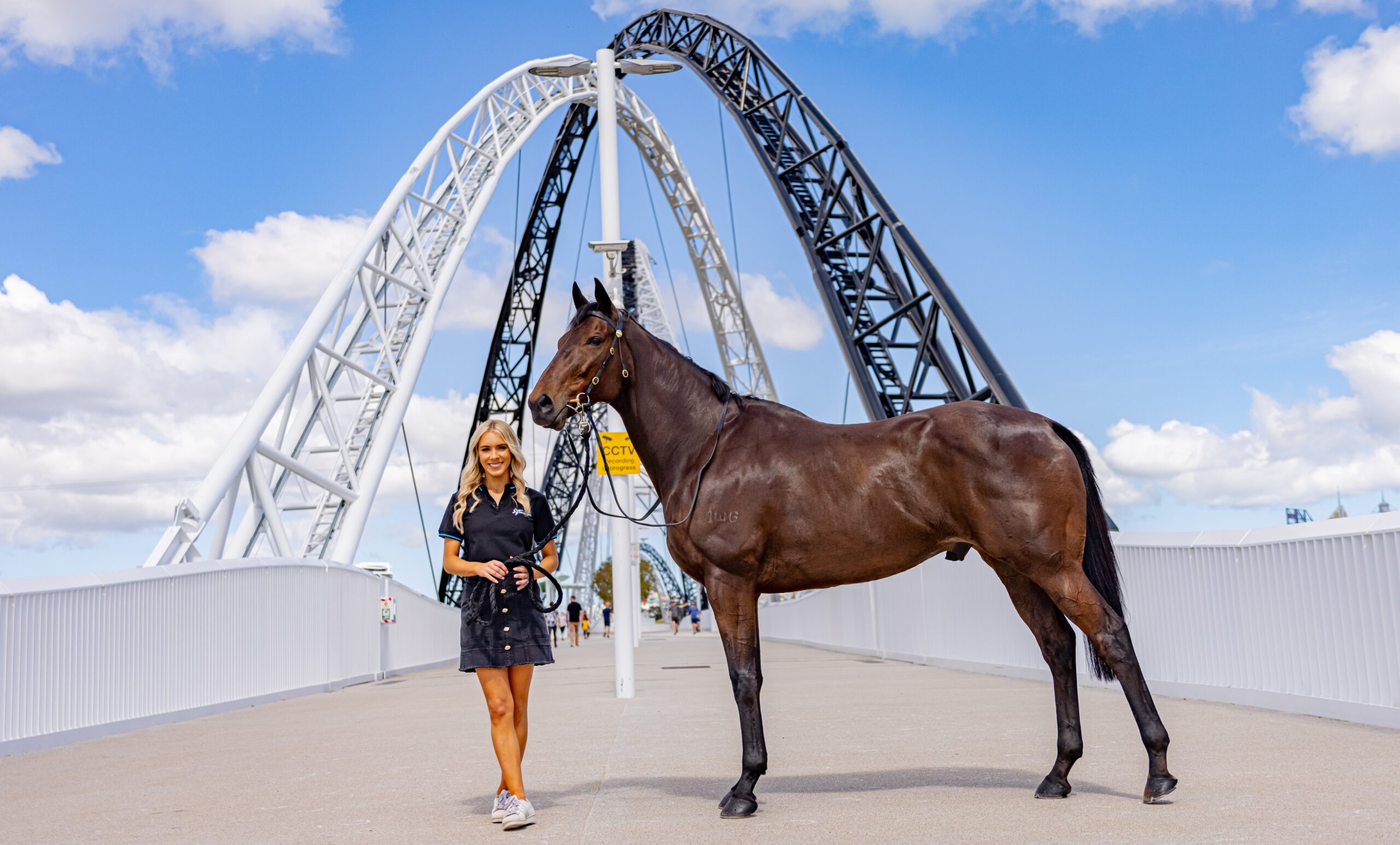 Join the thrills with the next champion racehorse in Racing WA’s free ...