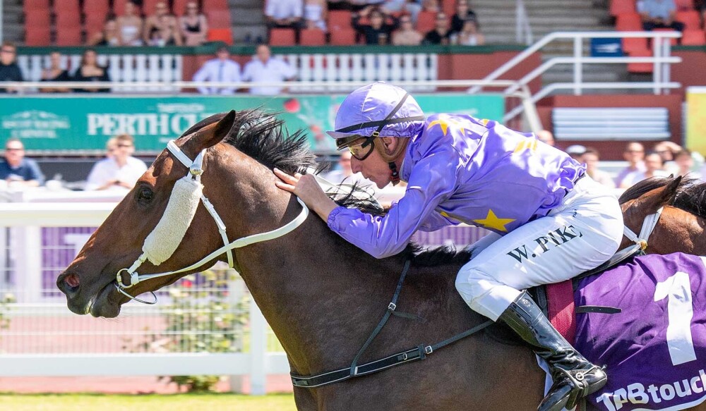 Jockey Wait On Oscar's Quokka Bid