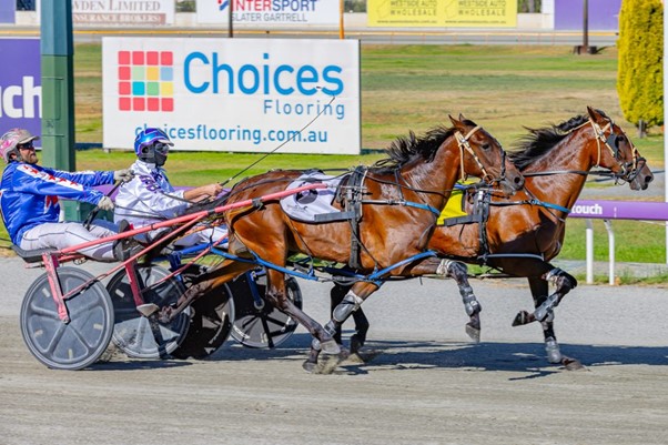 Williams’ Professionals Seeking Sales Success