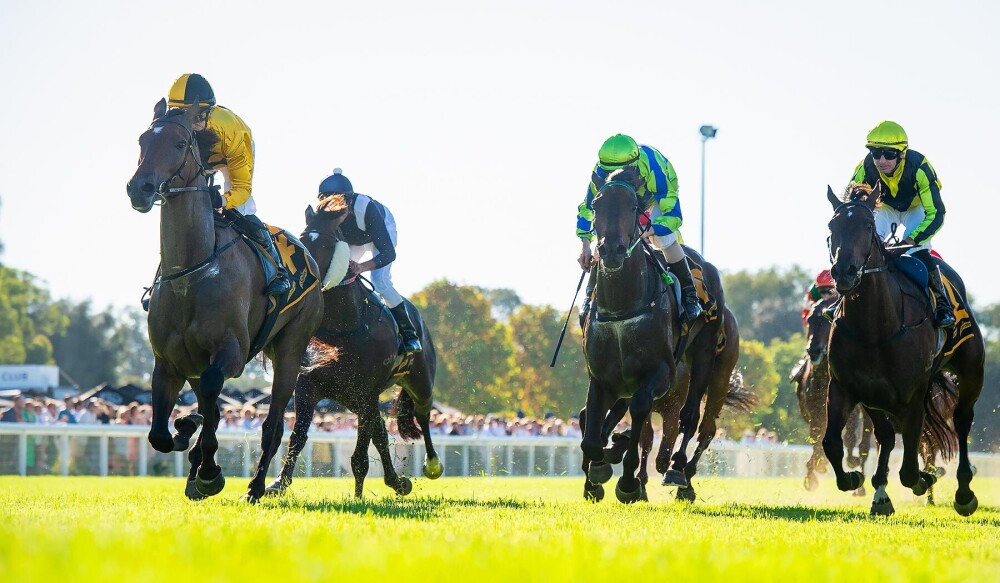 Pearce Brothers Praise The Lord In Melvista Stakes