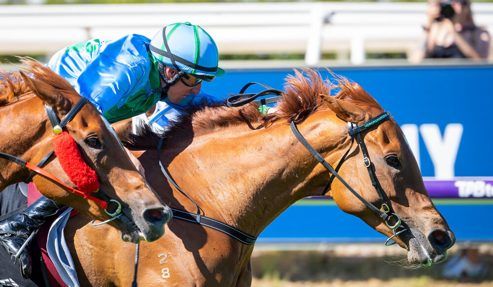 Body Blow For Alsephina