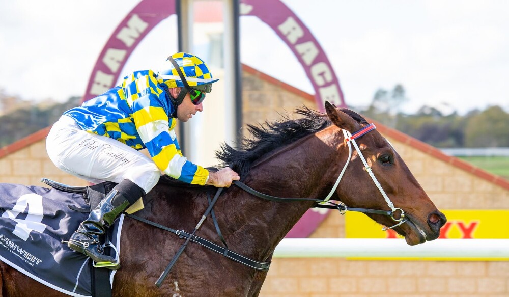 Miller Eyeing Saturday Company With His Joker