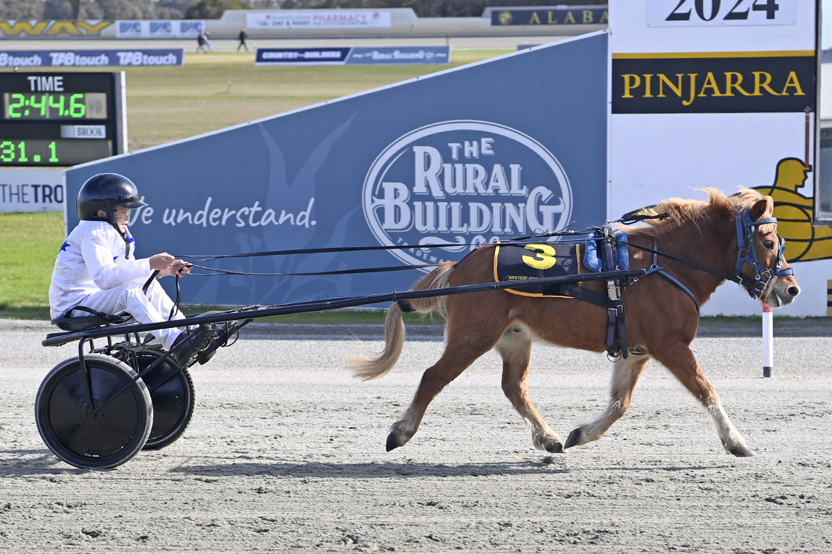 Next Generation Of Young Drivers Continues To Grow