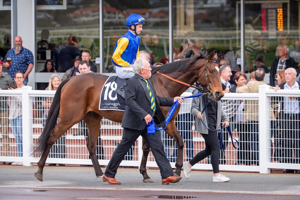 Black Heart Bart Stakes: In honour of a champion