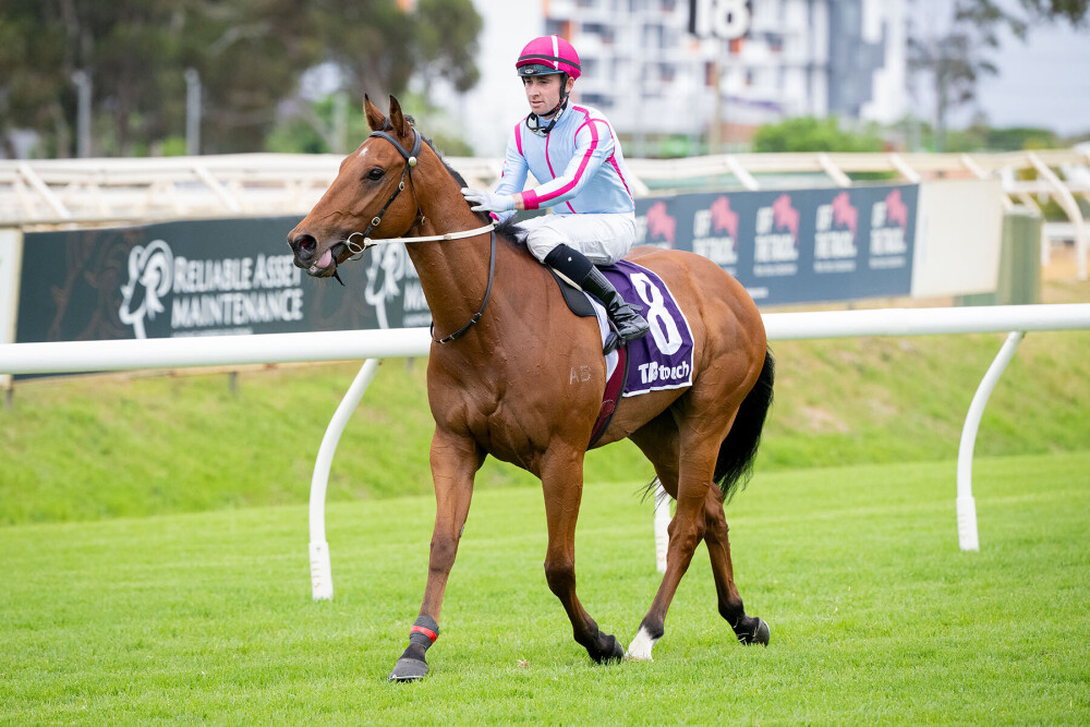 Bravo Centurion primed to let rip in Rock Magic