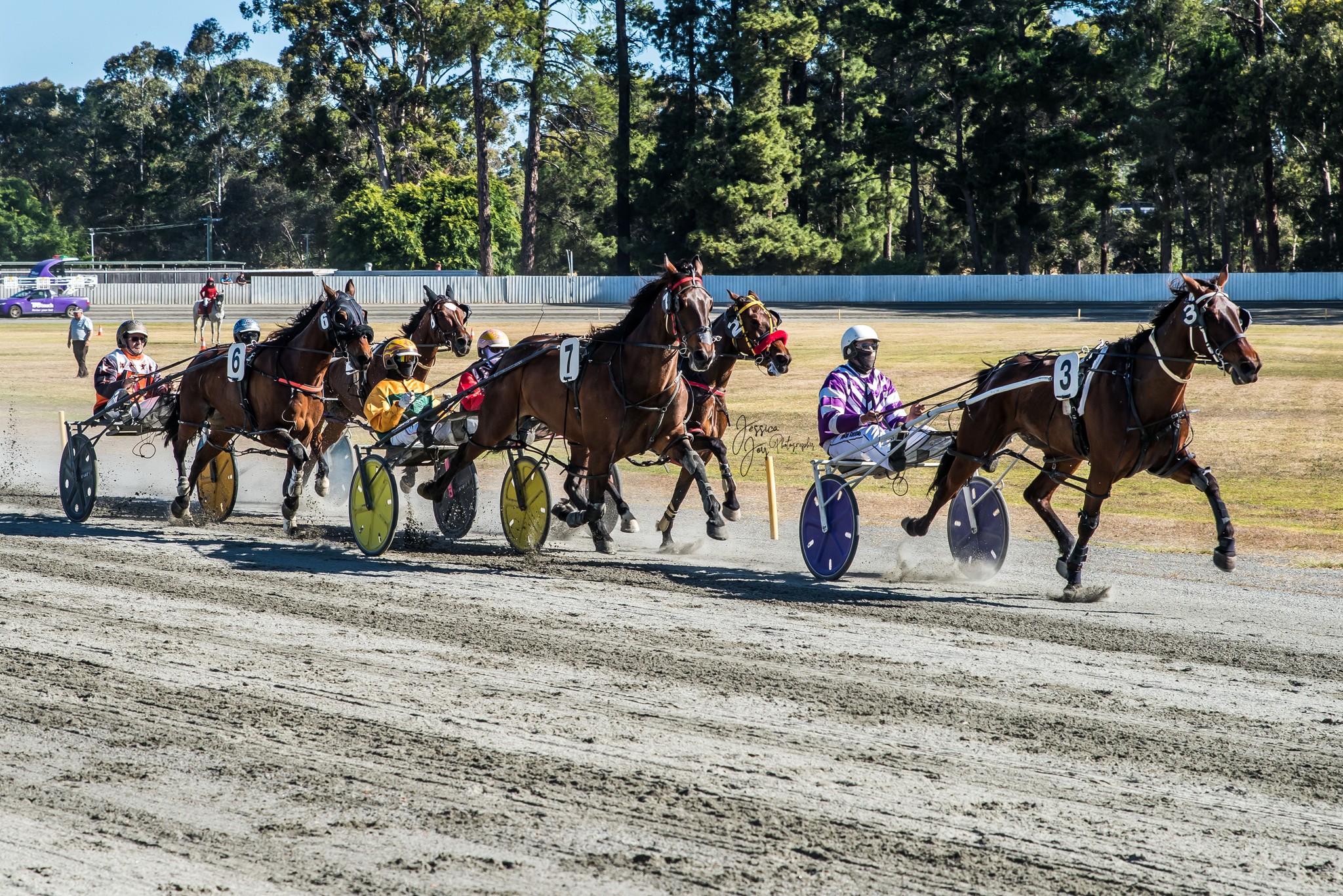 Countdown is on For Collie Return and Coalfield Bonus Series