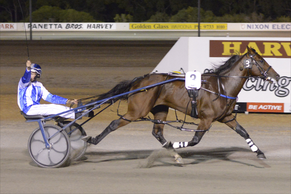 The Harvey Cup Is Back