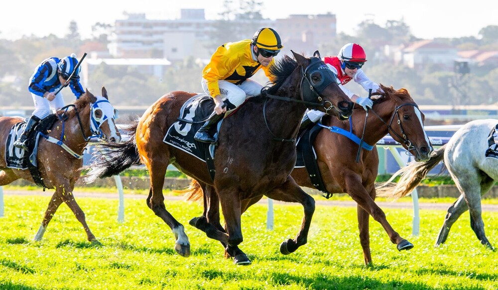 Pearce duo set for feature assault: Decoration eyes redemption, Ginger ...