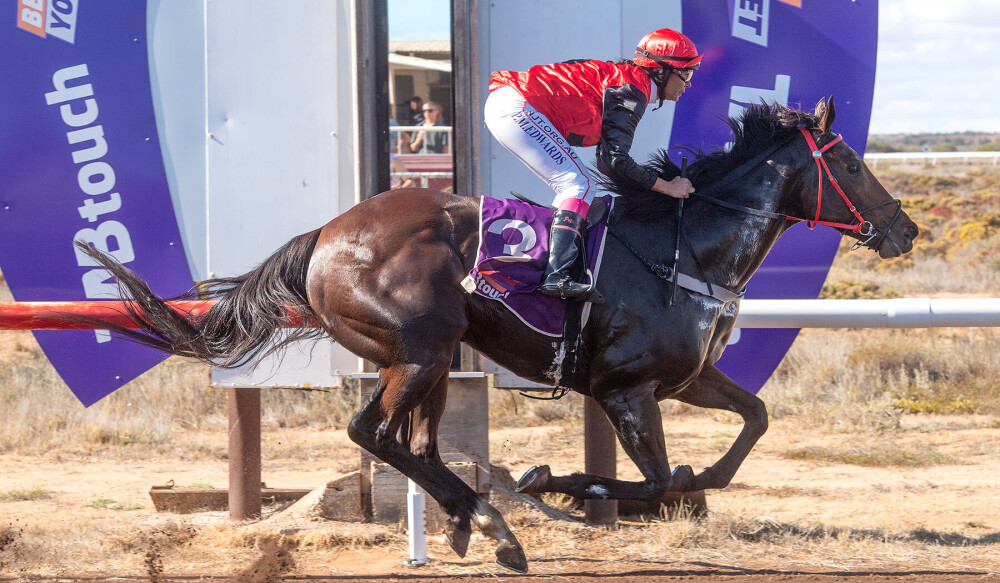 Dirty Chai aims for a clean sheet in Carnarvon's Minilya Sprint
