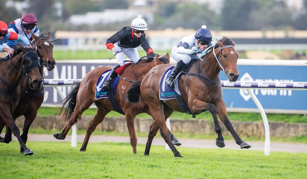 Iowa taking owners on great Perth ride