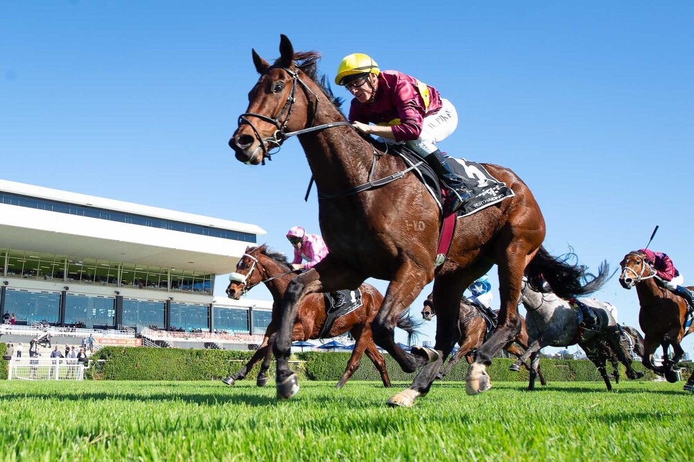 Oly's Choice the pick for Pearce in Cyril Flower