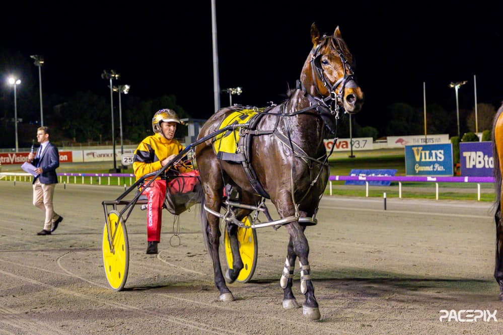 Nafranec’s To Roll The Dice With Reinette