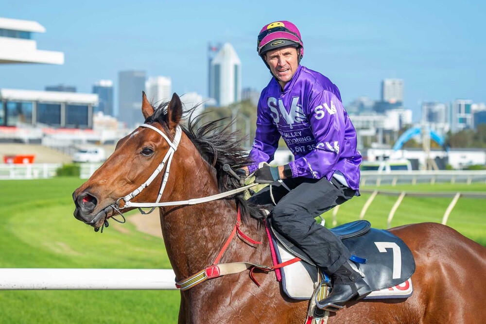 O'Donnell Hopes History Doesn't Repeat In Lee Steere Stakes