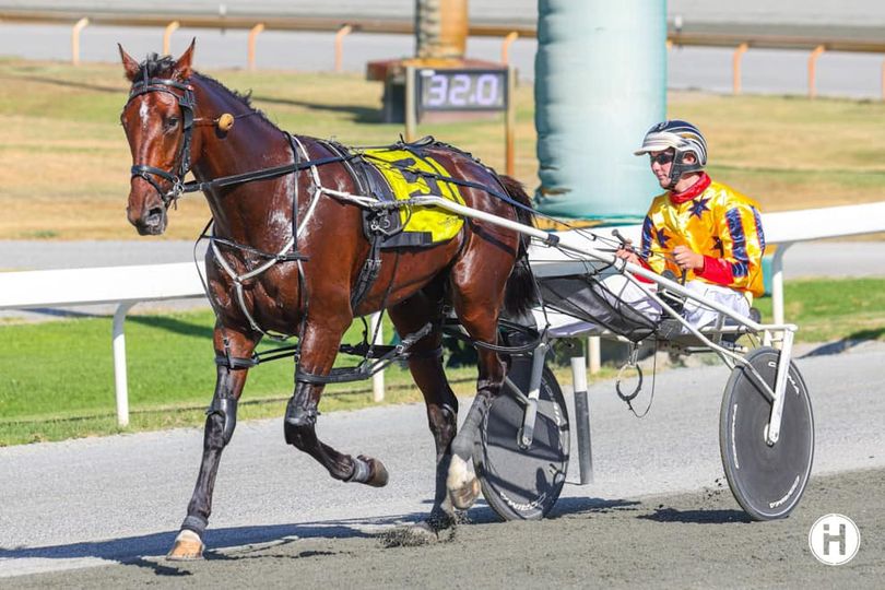 3YO C&G Westbred Classic Looks A Good Battle