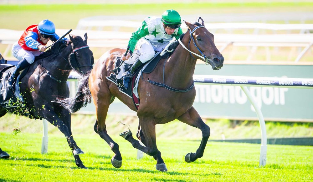 Lee-Steere finds his Quokka star
