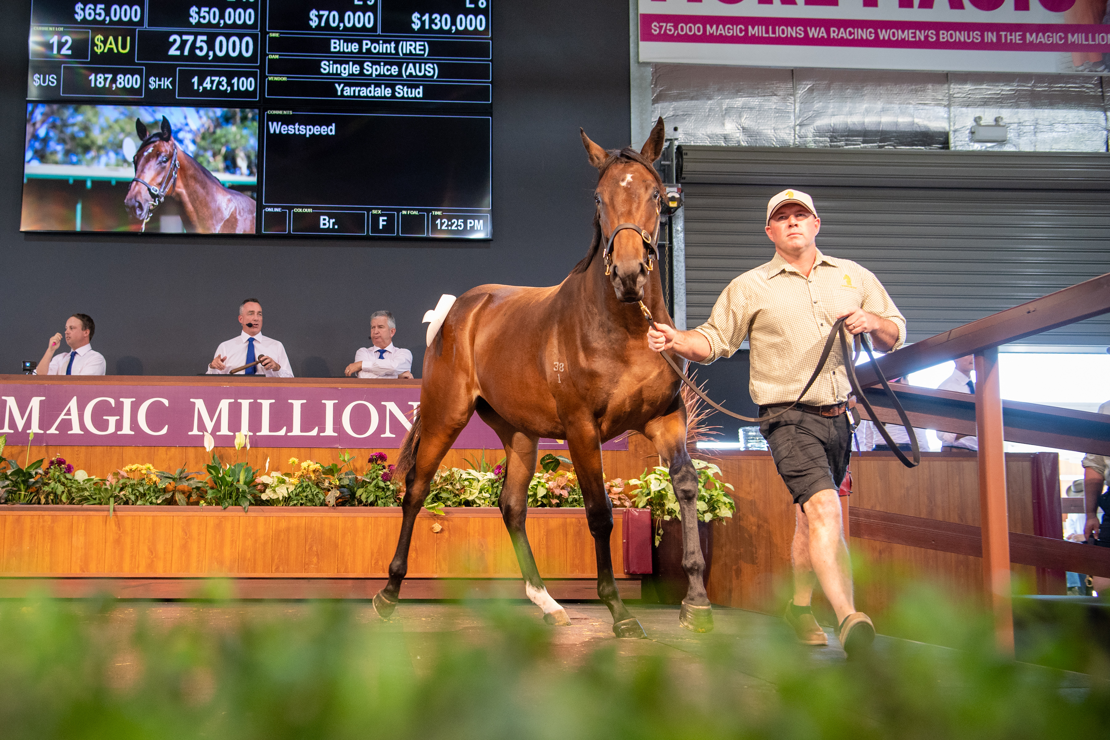 Magic Millions Perth Yearling Sale 2026