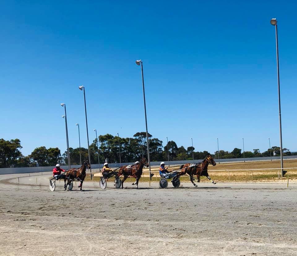 Albany Harness Racing Club