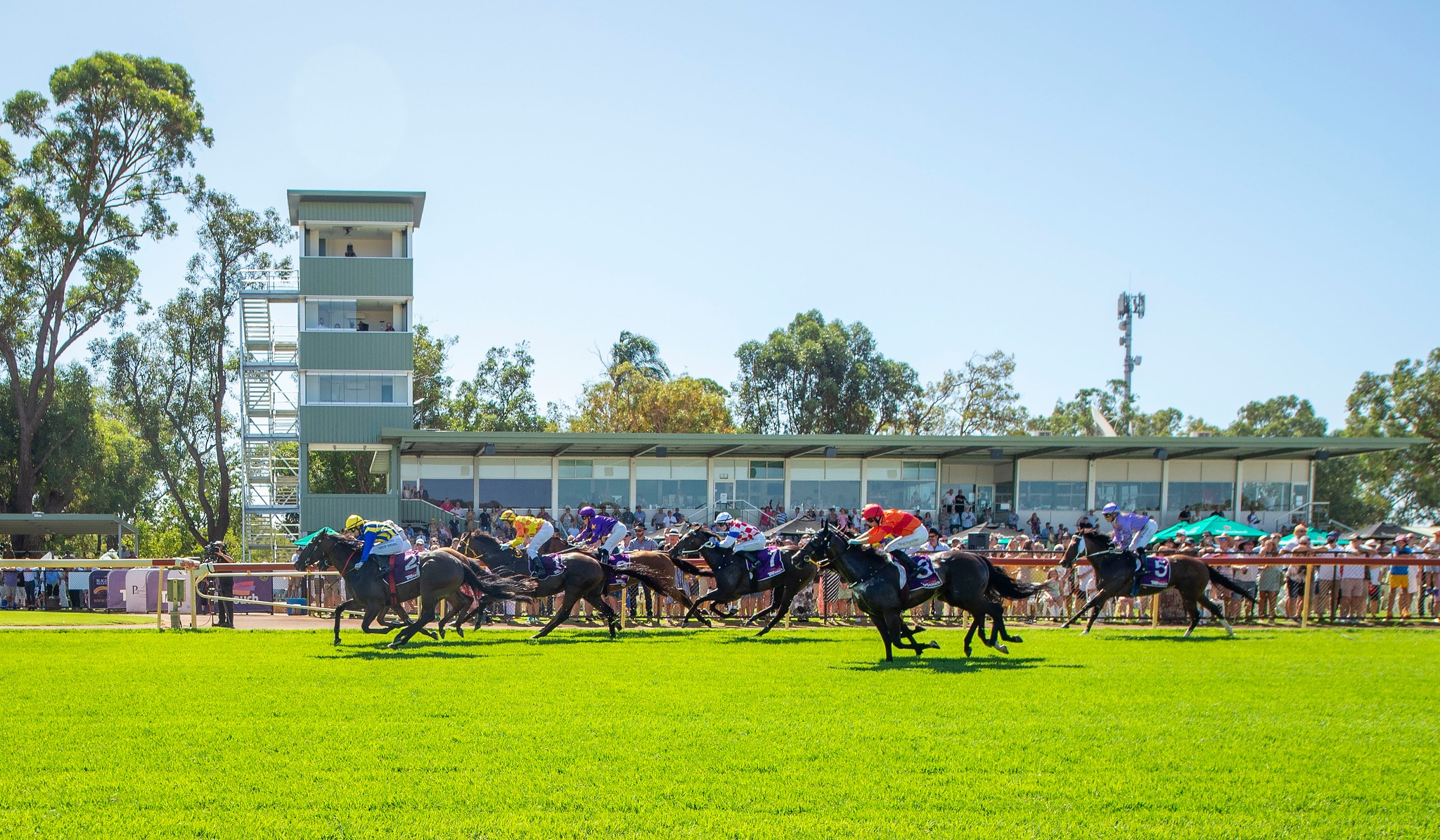 Pinjarra Race Club