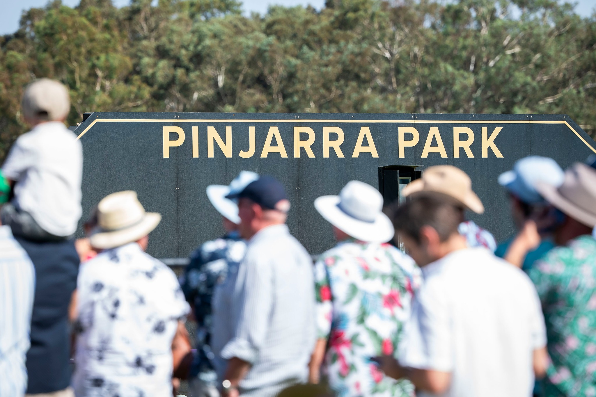 Pinjarra Boxing Day Races
