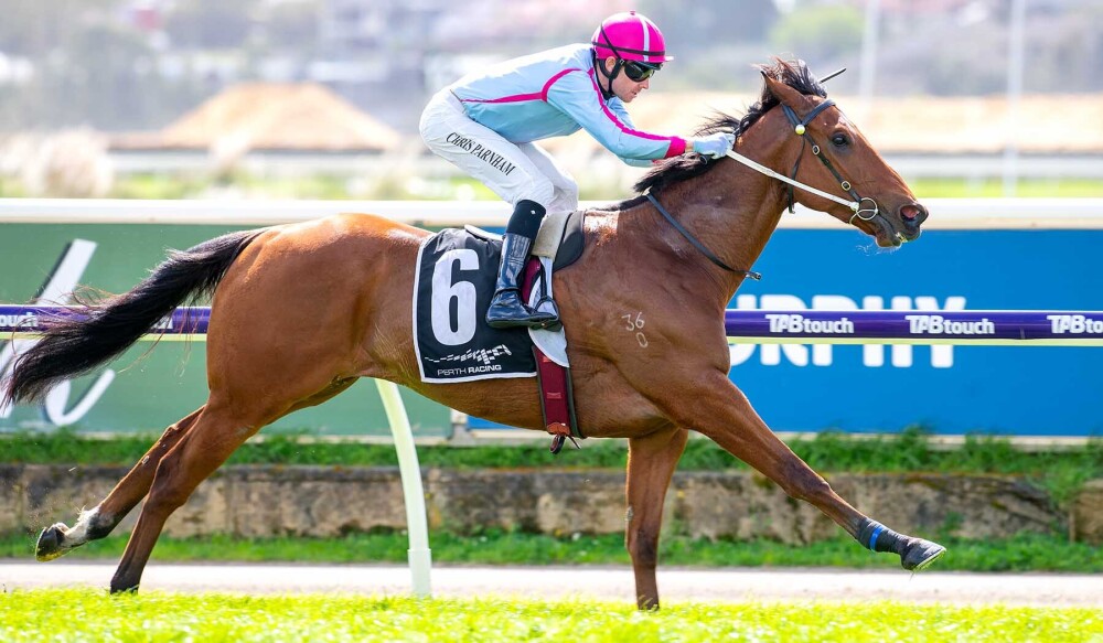 Cards On The Table For Bravo Centurion