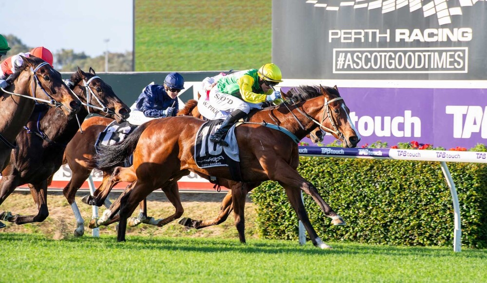 The Races WA Podcast Tipping Competition: Round one wrap up