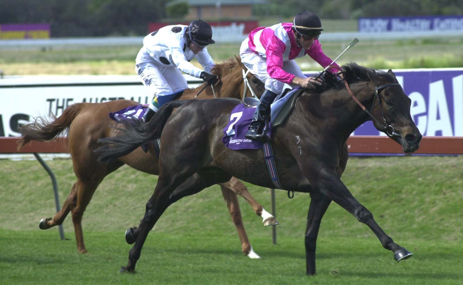 2019 Hall of Fame Inductee - Old Comrade