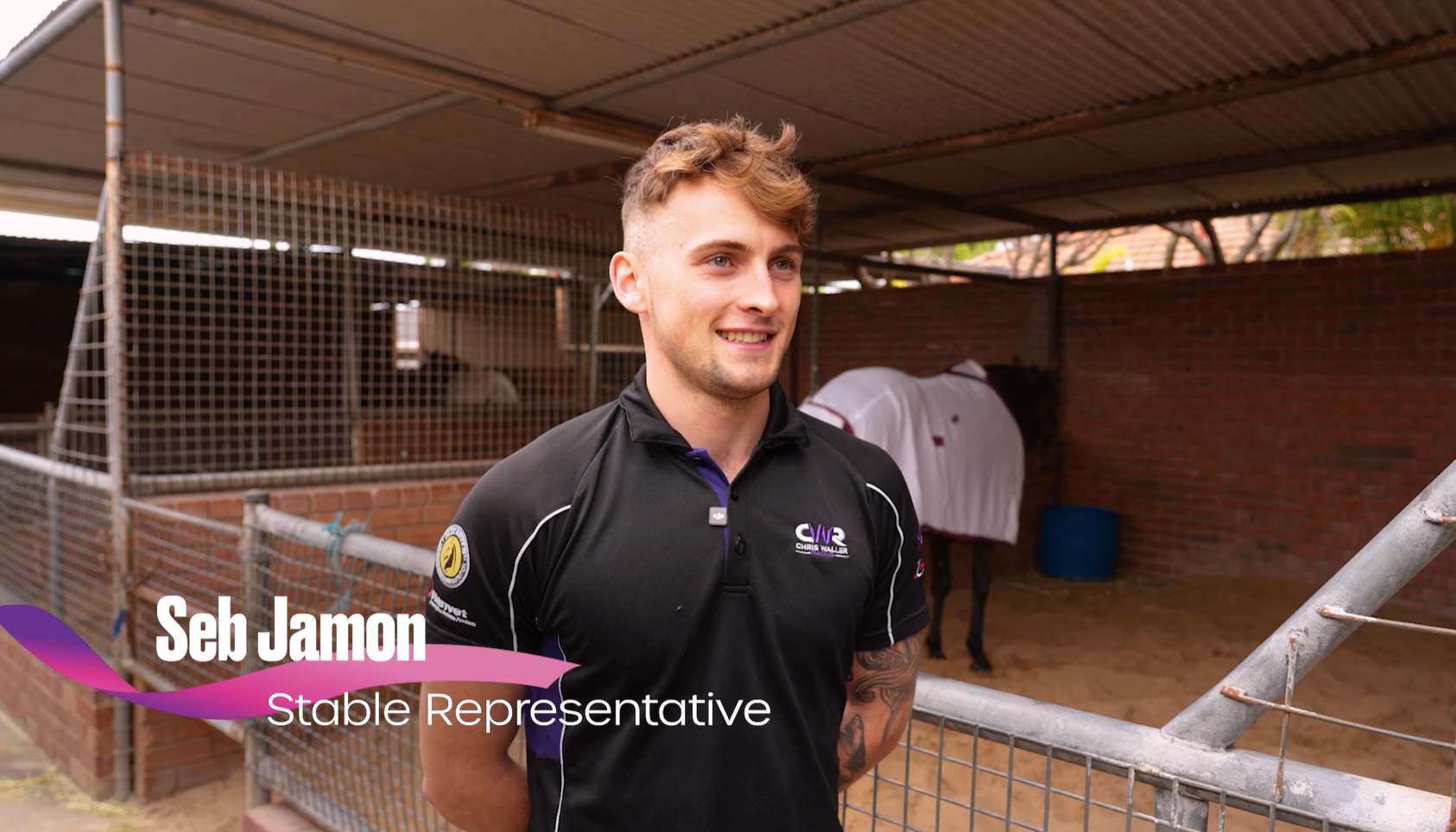 Chris Waller Stable Update - Day 2 TABtouch Pinnacles