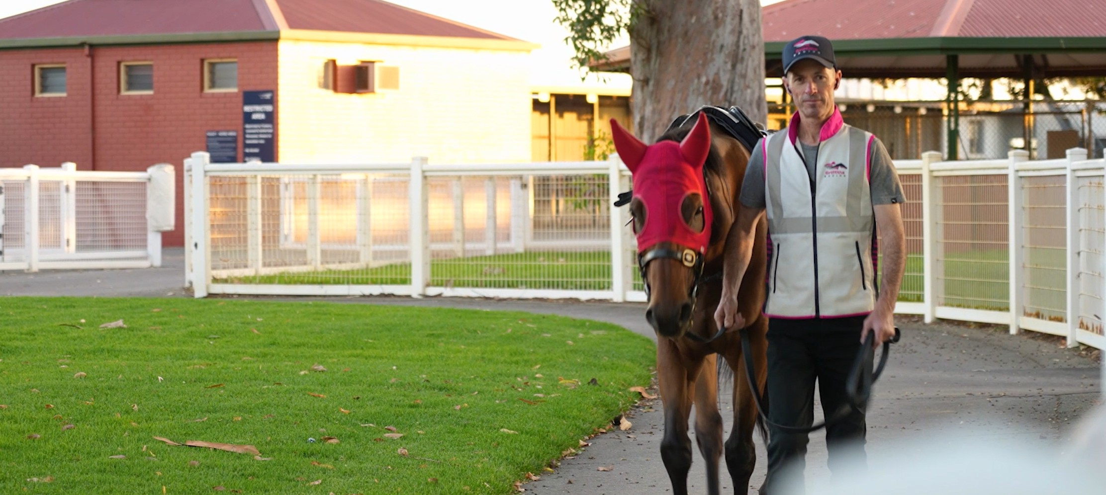 Robbie Griffiths Racing Stable Update - Day 5 TABtouch Pinnacles - The ...