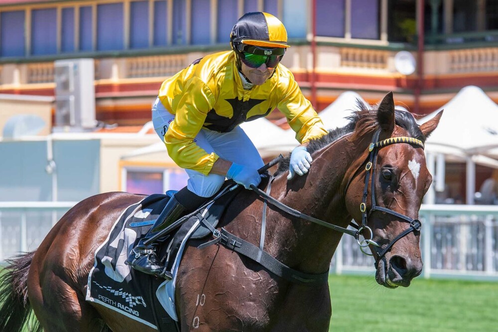 O’Donnell keen to turn Silver into Pinjarra Cup gold