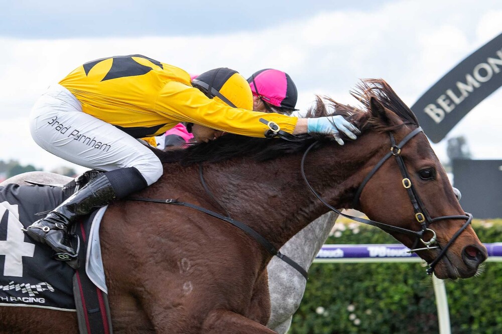 Triple Jay Continues Winning Ways In Blue Spec Stakes